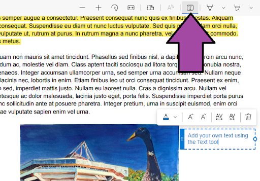 PDF reader in Microsoft Edge