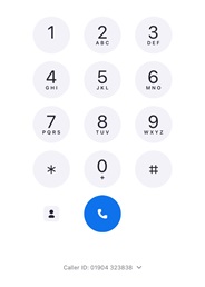 Zoom Phone: Getting started with the mobile app | IT Services: support ...